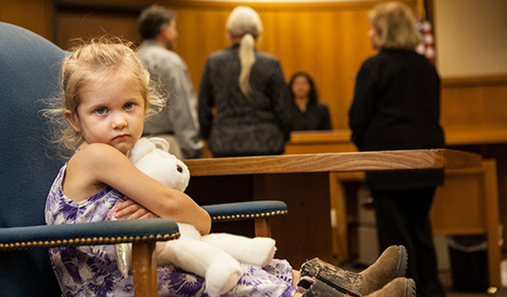 Unsung Heroes: The Child Custody Court Judge – Rational Animal